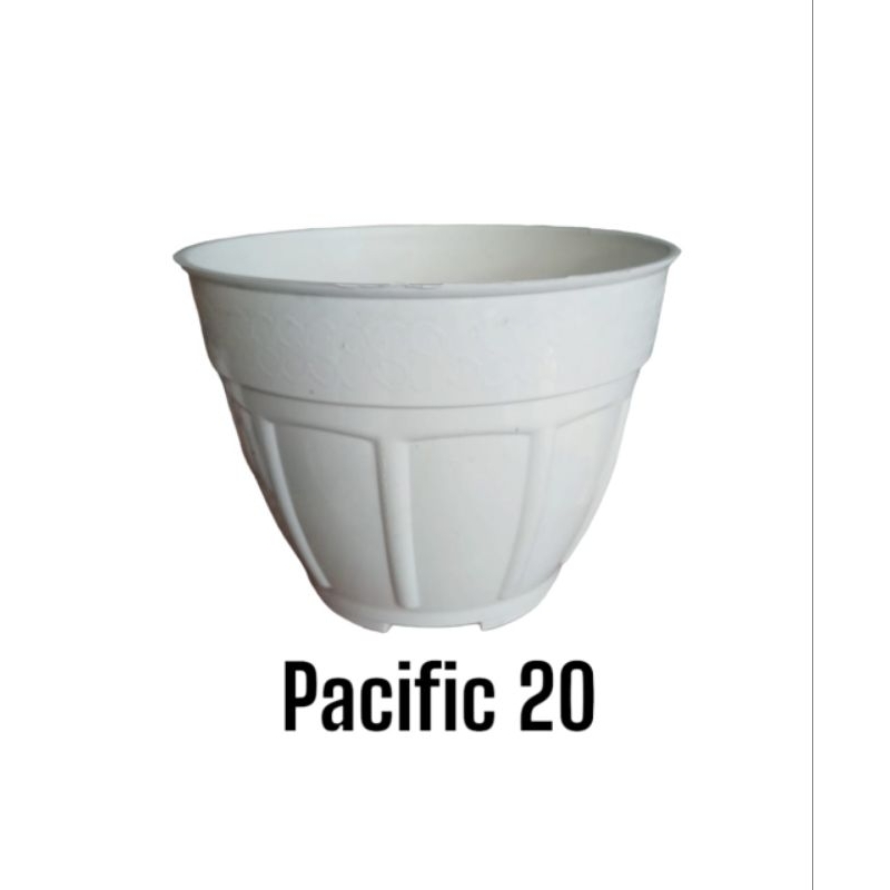 Jual Pot Bunga Pacific Ukuran 20 Warna Putih | Shopee Indonesia