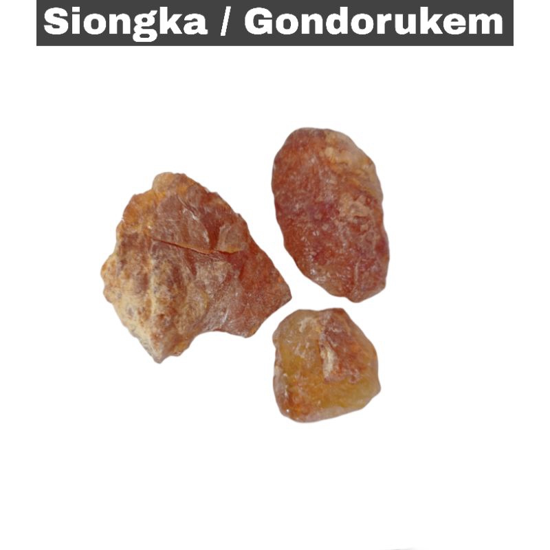 Jual (50 gram) Fluc Solder Batu siongka | Gondorukem | Getah Pinus ...