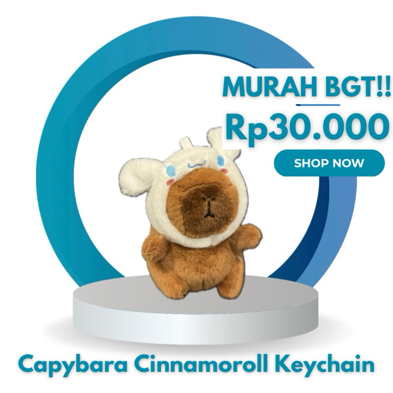 Jual Cemuda ; Capybara Cinnamoroll Keychain Plushie | Shopee Indonesia