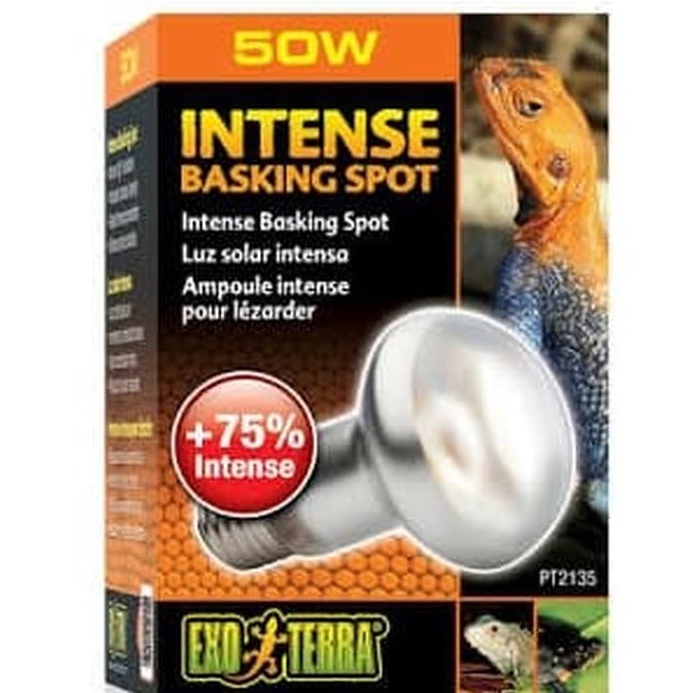 Jual KODE N48Z Exoterra Intense Basking Spot 25w 5w 75w 1w Lampu ...