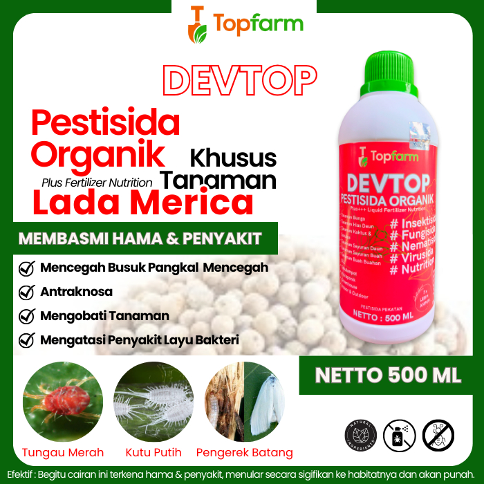 Jual Obat Kuning Daun Merica Lada / Obat Lada Daun Kuning / Obat Daun ...