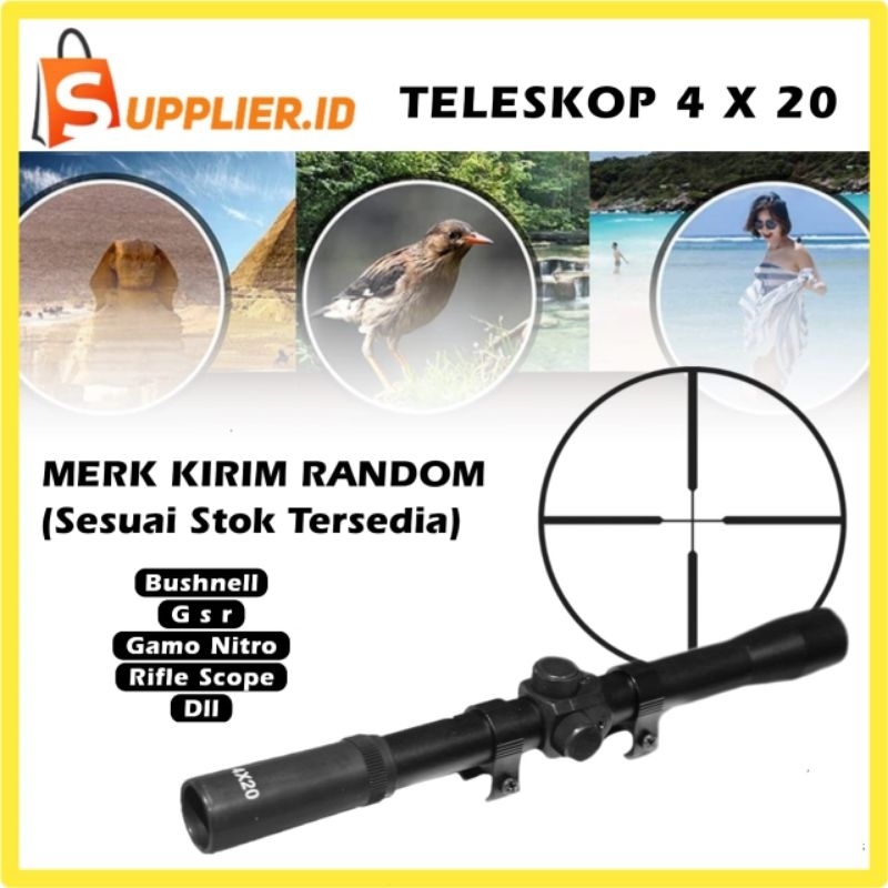 Jual Teleskop Bushnell 4x20 Teropong Senapan Kaliber | Shopee Indonesia