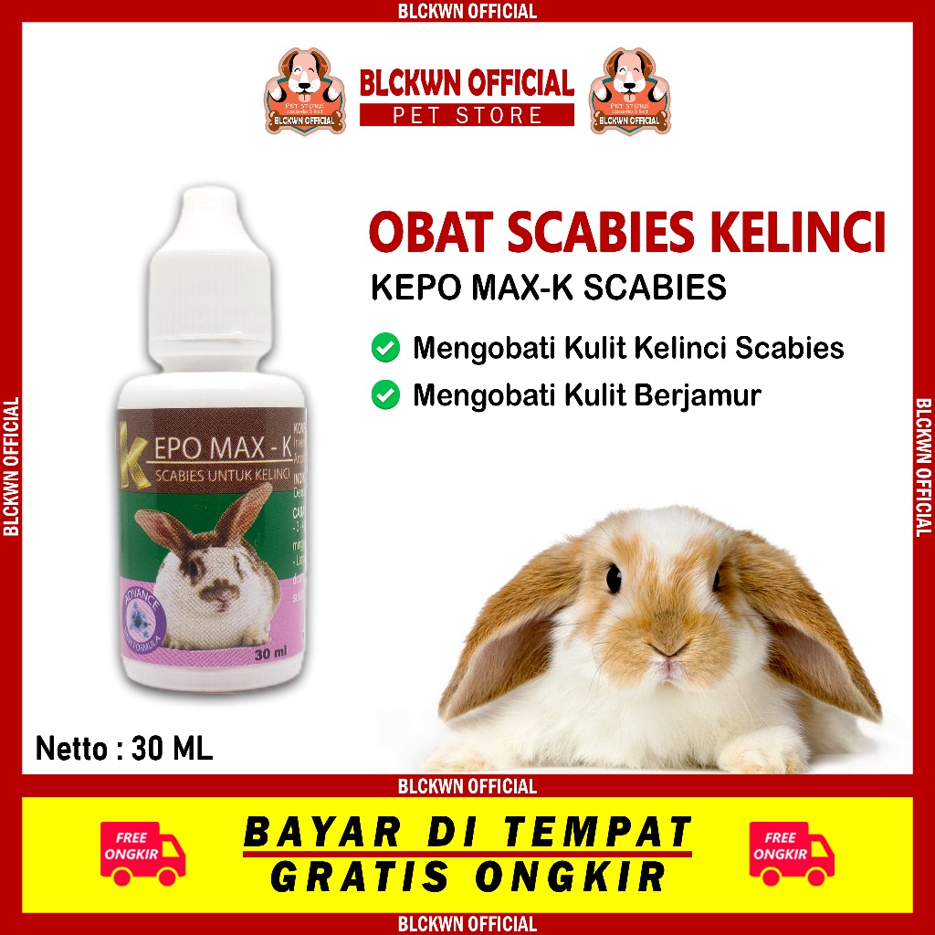 Jual Obat Scabies Kelinci Kepo Max Mencegah Jamur Kulit | Shopee Indonesia