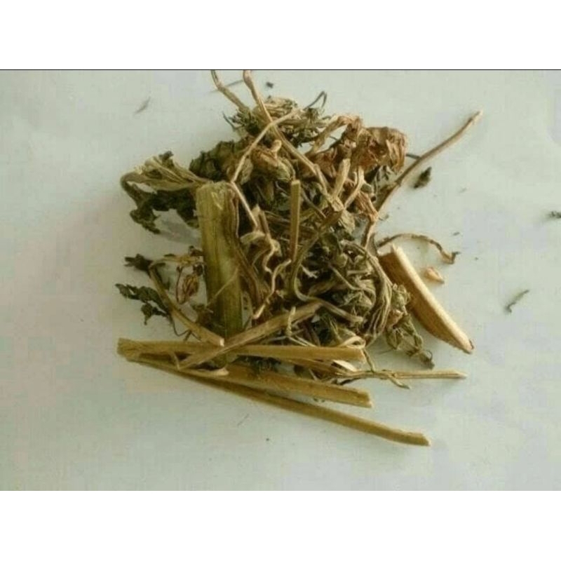 Jual 10 G 50 GR 100 GRAM 嫩益母草 NEN YI MU CAO GRADE A MOTHERWORT HERB ...