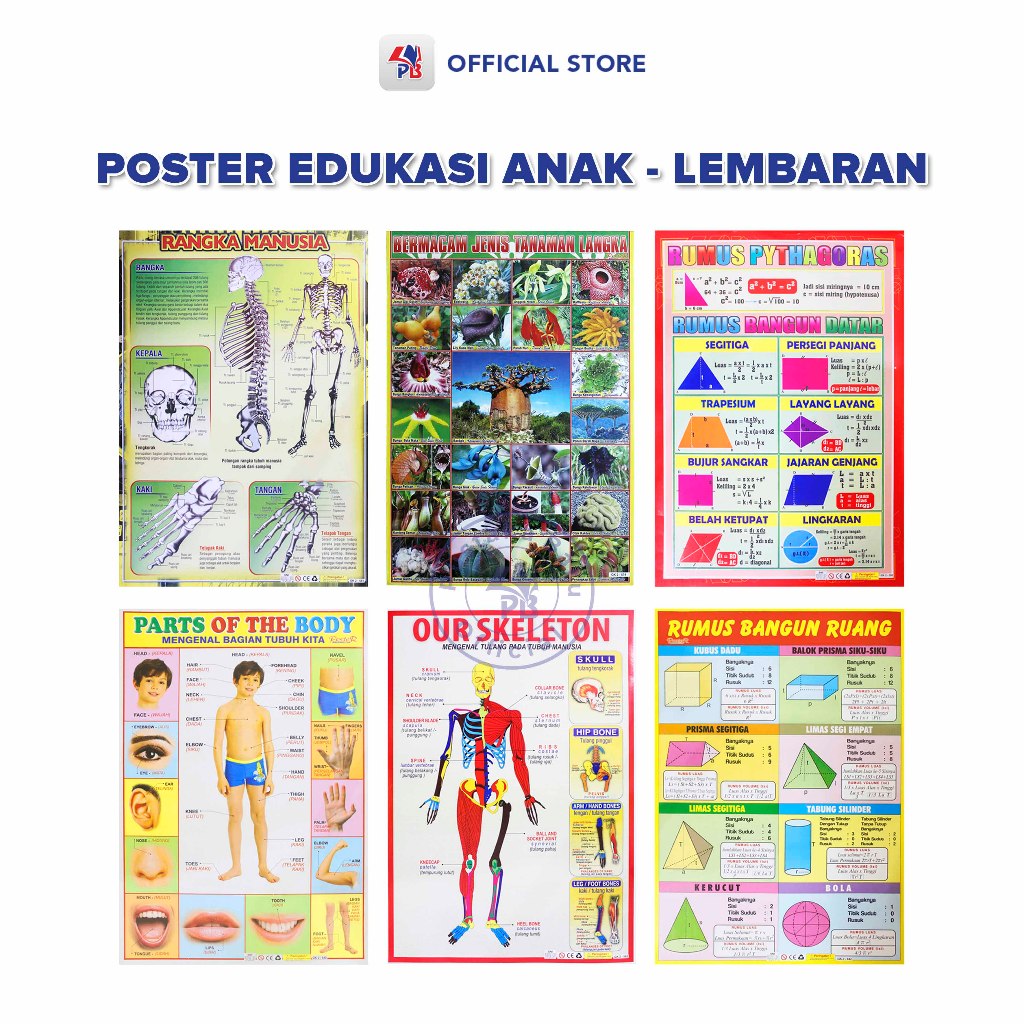 Jual Poster Edukasi Anak Mainan Edukasi Anak Lembaran Rangka Manusia ...