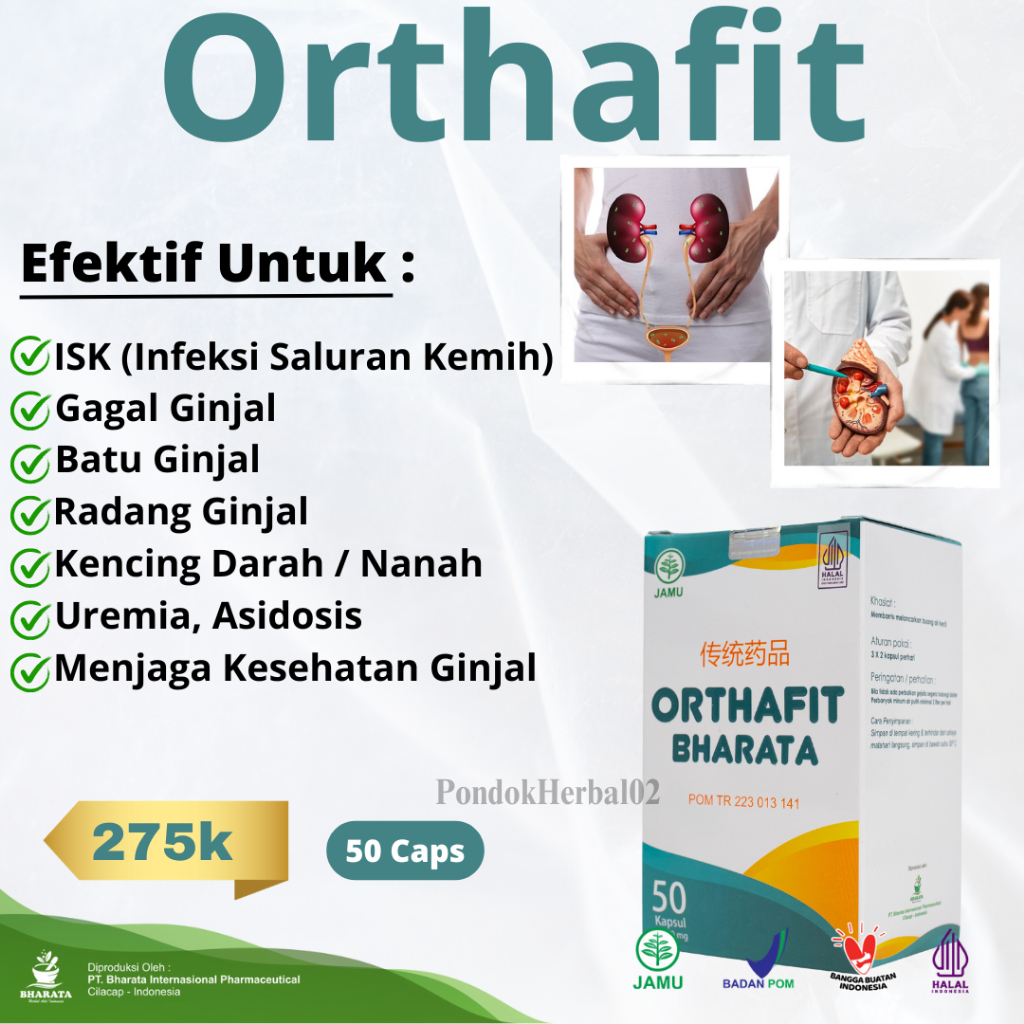Jual Orthafit Bharata - Obat Herbal Untuk ISK, Gagal ginjal, Nefritis ...