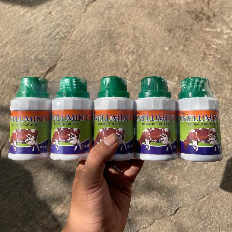 Jual Influmint Obat Batuk kambing Sapi Domba Kerbau obat flu Hewan ...