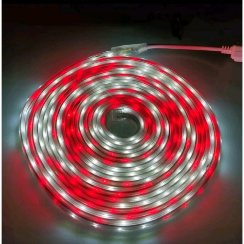 Jual Lampu Led Strip Selang RGB 2835 3528 SMD Rope Light 10 Meter Merah ...