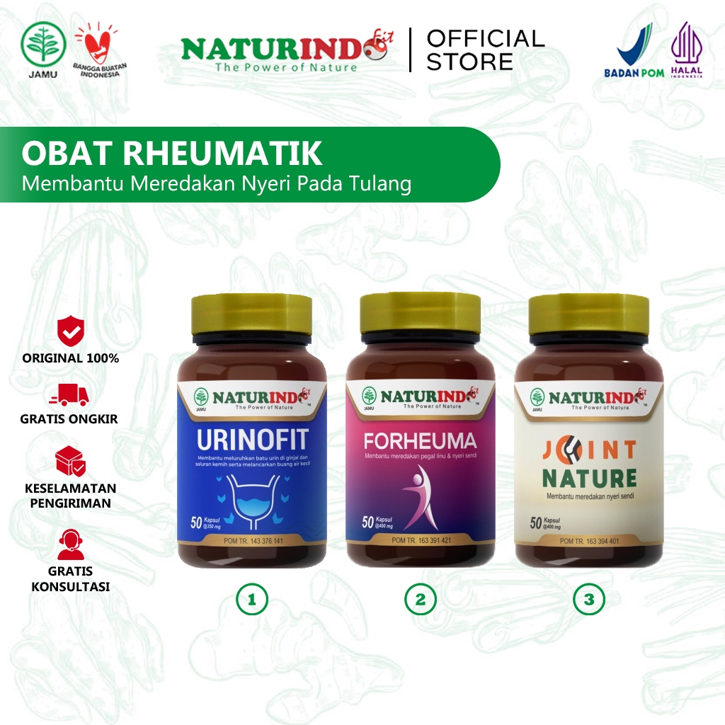 Jual NATURINDO FIT - Obat Herbal Rheumatik | Rematik (Membantu ...
