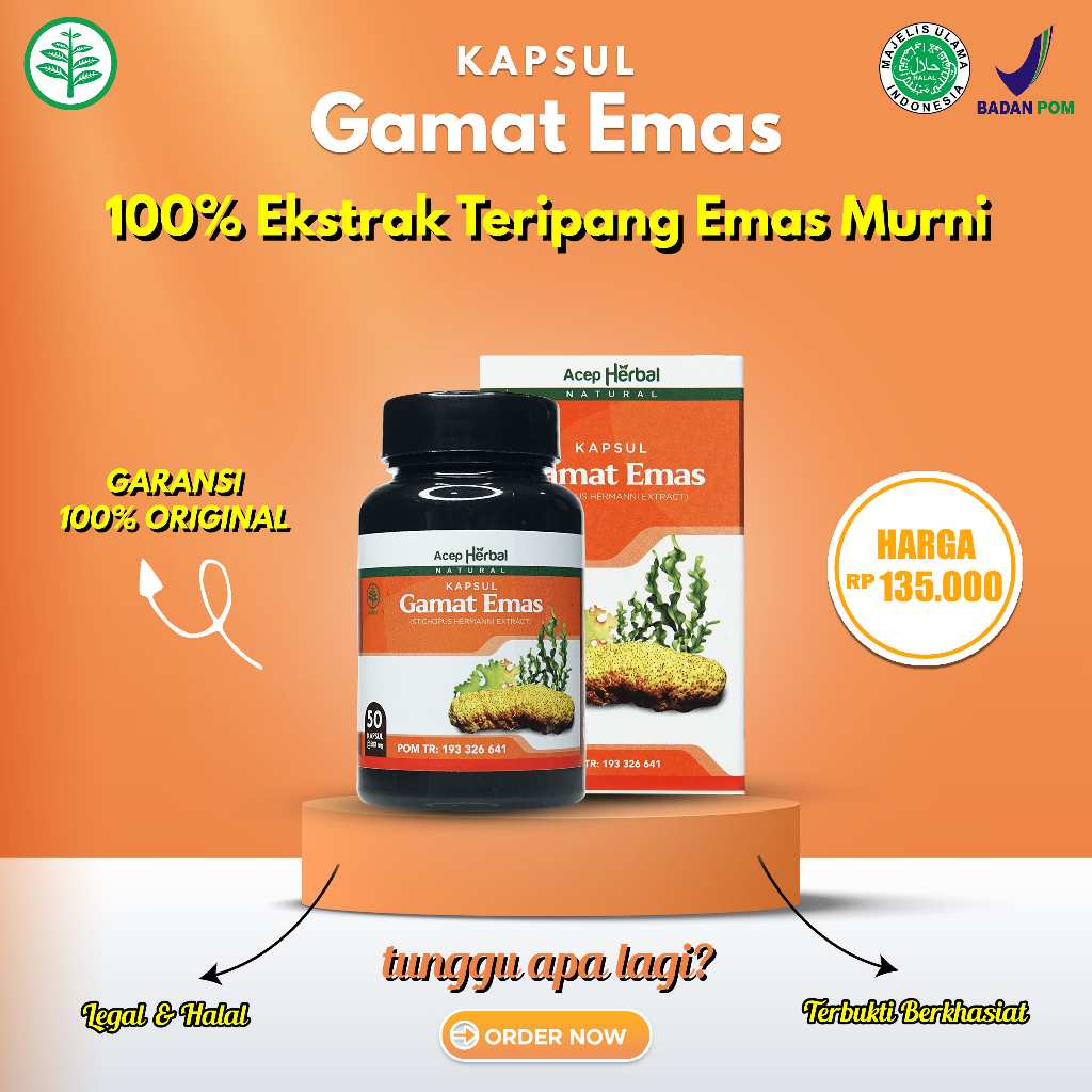 Jual Gamat Emas Kapsul Isi 50 Kapsul Asli 100% Original Herbal ...