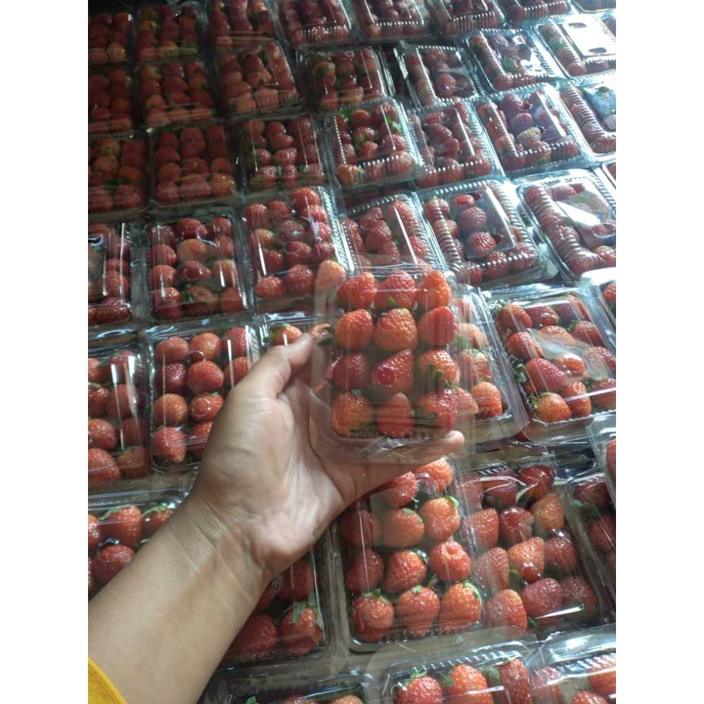 Jual Strawberry Mini 70gram - Sayur Segar Instan Malang | Shopee Indonesia