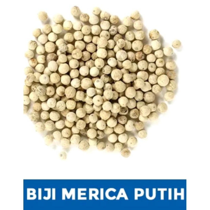 Jual merica biji super / merica lada putih butir | Shopee Indonesia