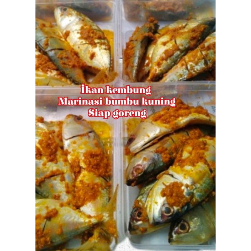 Jual ikan kembung marinasi bumbu kuning siap goreng frozen food halal ...