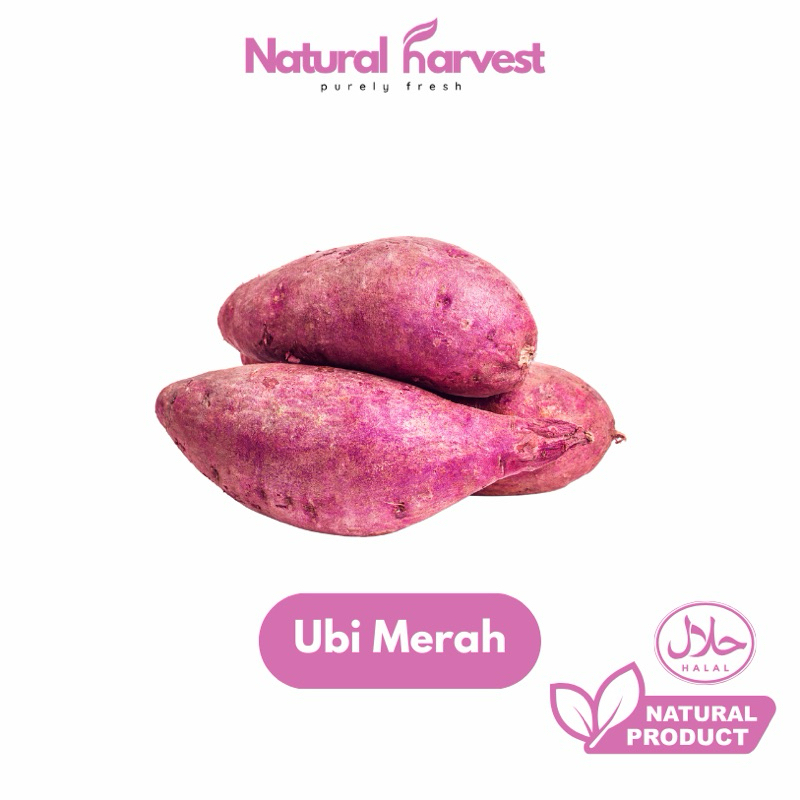 Jual Ubi Merah 500gr | NaturalHarvest! | Shopee Indonesia