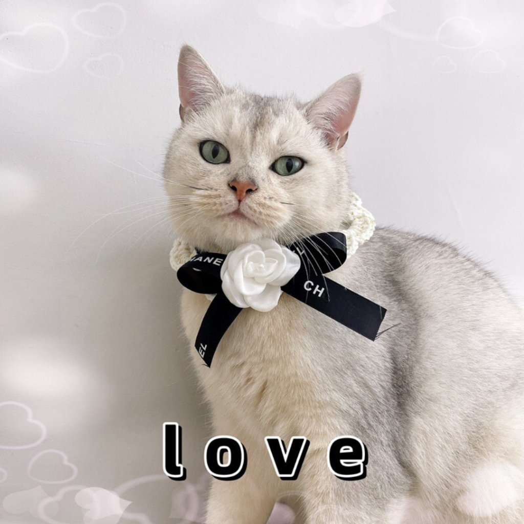 Jual Paw Palace - TILLY Kalung Leher Renda Anjing Kucing Hewan ...