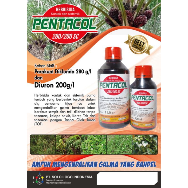 Jual PENTACOL Racun Rumput Ampuh Atasi Lulangan - Kemasan 1 Liter ...