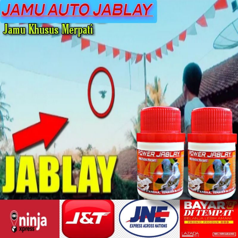 Jual JAMU MERPATI POWER J4BL4Y ISi 100 BUTIR extra jp power speed raja ...