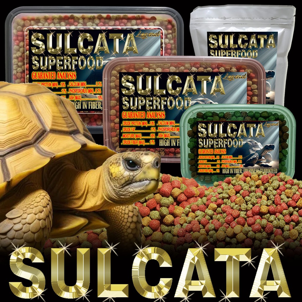 Jual SULCATA SUPERFOOD PELET SULKATA MAKANAN SUPER TORTOISE ...