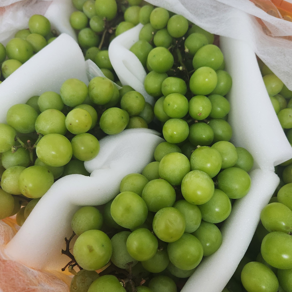 Jual Anggur Hijau Shine Muscat Seedless Tanpa Biji 500gr | Shopee Indonesia