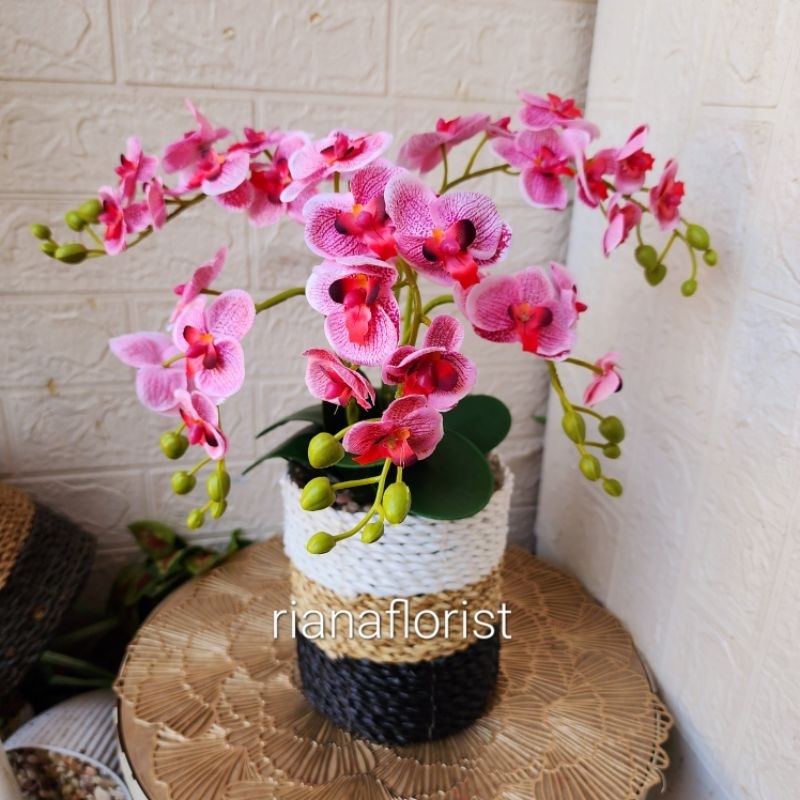 Jual ANGGREK POT ANYAM ROTAN ARTIFICIAL | Shopee Indonesia