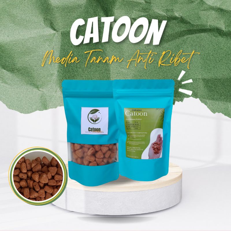 Jual Hidroton Cangkang Kerang (Kerang simping dan siput laut) | Shopee ...