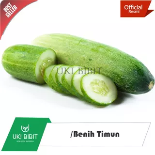 Jual Timun 1 Kg Terlengkap & Harga Terbaru September 2024 | Shopee ...