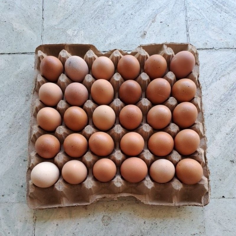 Jual TELUR AYAM NEGERI ~ 1 PAPAN 30 BUTIR (MEDAN) | Shopee Indonesia