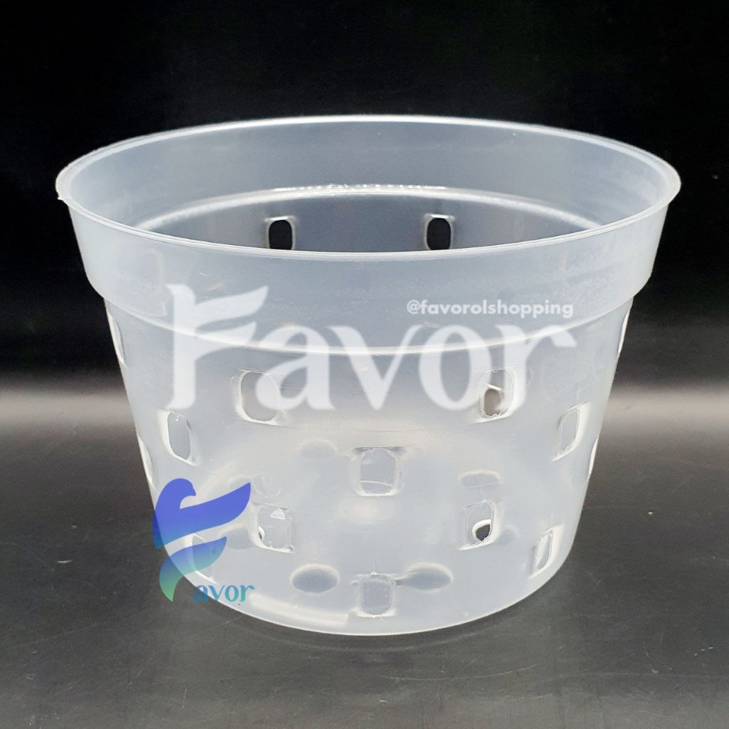 Jual Pot Anggrek Estetik DENDROBIUM Ukuran 15 BENING Basic Lubang Pot ...