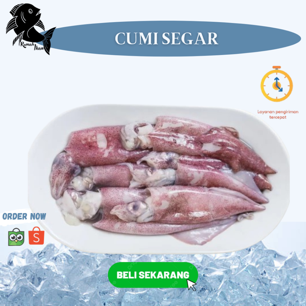 Jual Cumi Segar / Cumi Seafood Utuh 1Kg | Shopee Indonesia