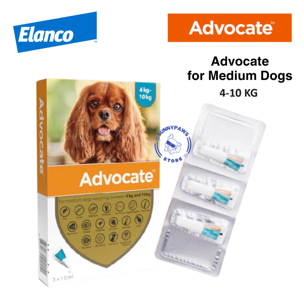 Jual Advocate Dog M Medium Obat Kutu Anjing Sedang Tetes 4-10KG Tube 1. ...