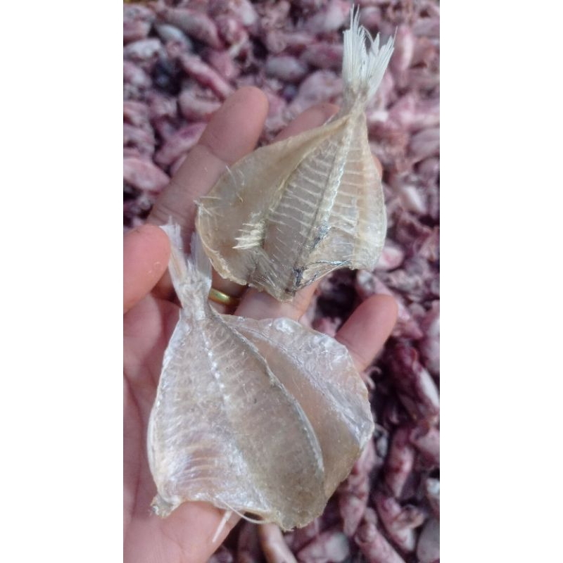 Jual Ikan Asin Pakang Kapasan 250 gram | Shopee Indonesia