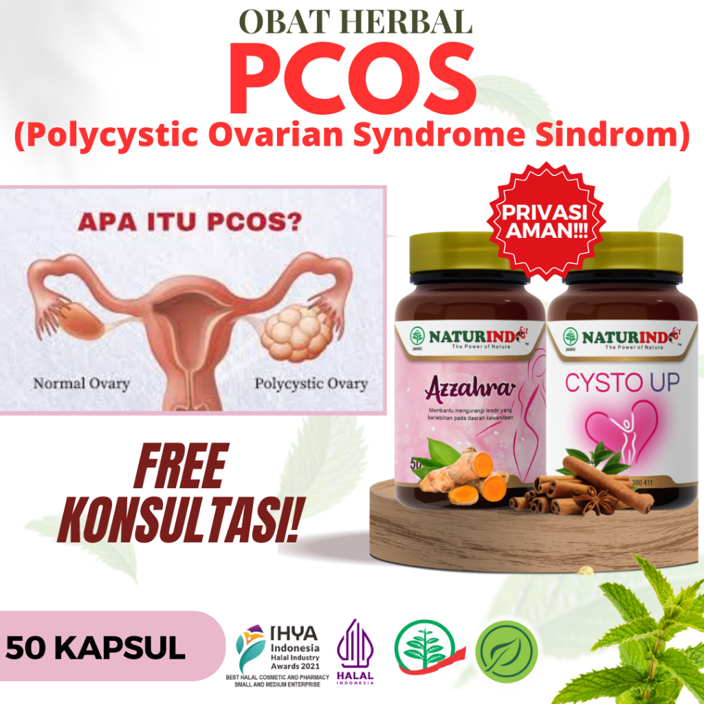 Jual Obat Herbal PCOS Polycystic Ovarium Syndrome Sindrom Polikistik ...