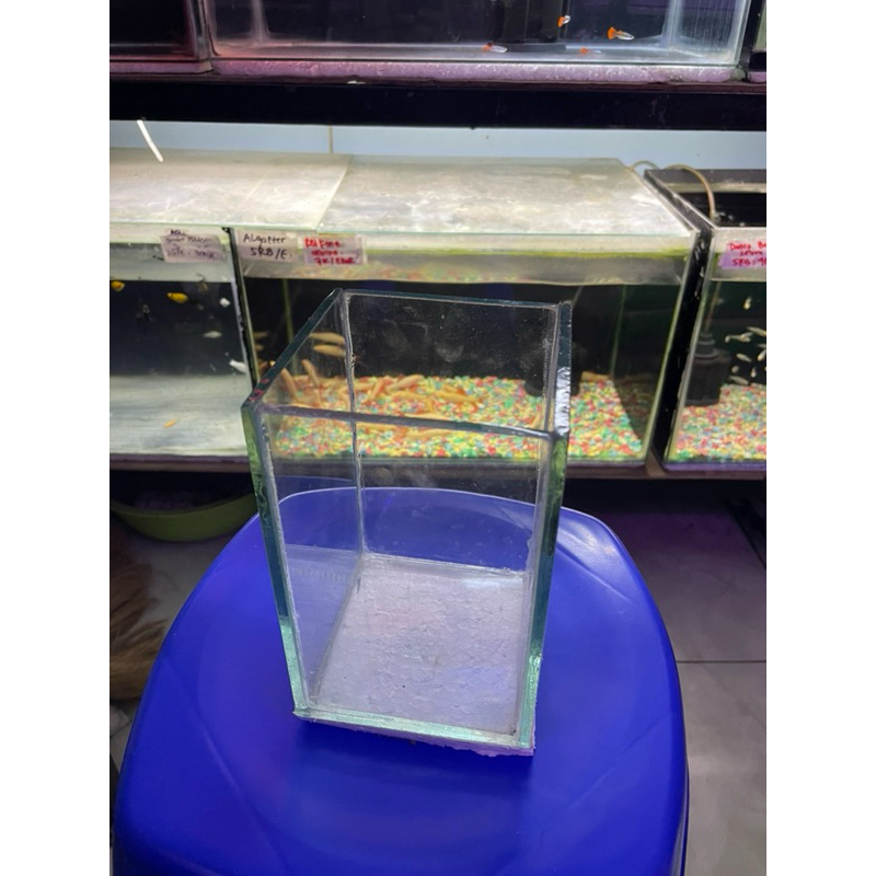Jual akuarium cupang soliter 10x10x15 kaca 5mm | Shopee Indonesia