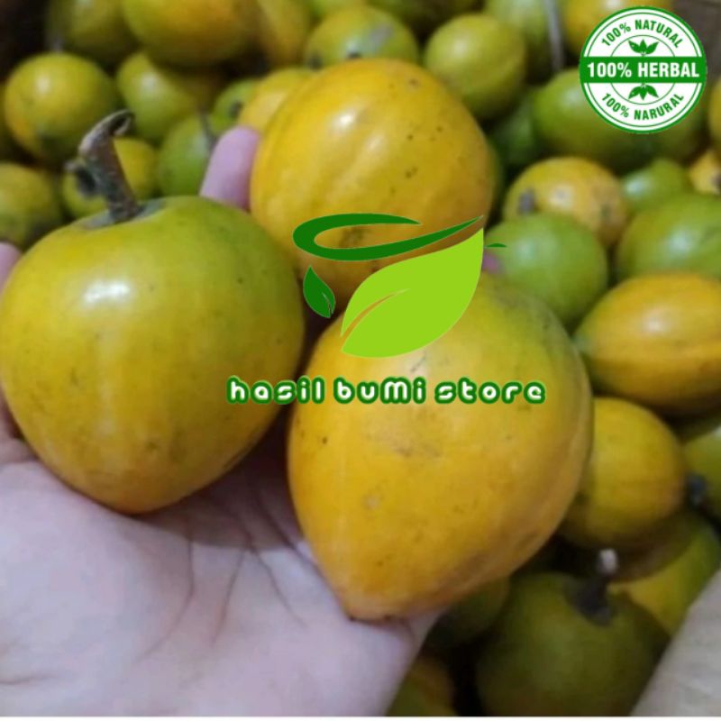 Jual buah alkesah sawo mentega 1 kg segar mentah | Shopee Indonesia