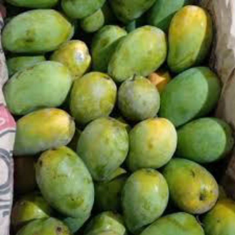 Jual mangga harum manis 1kg | Shopee Indonesia