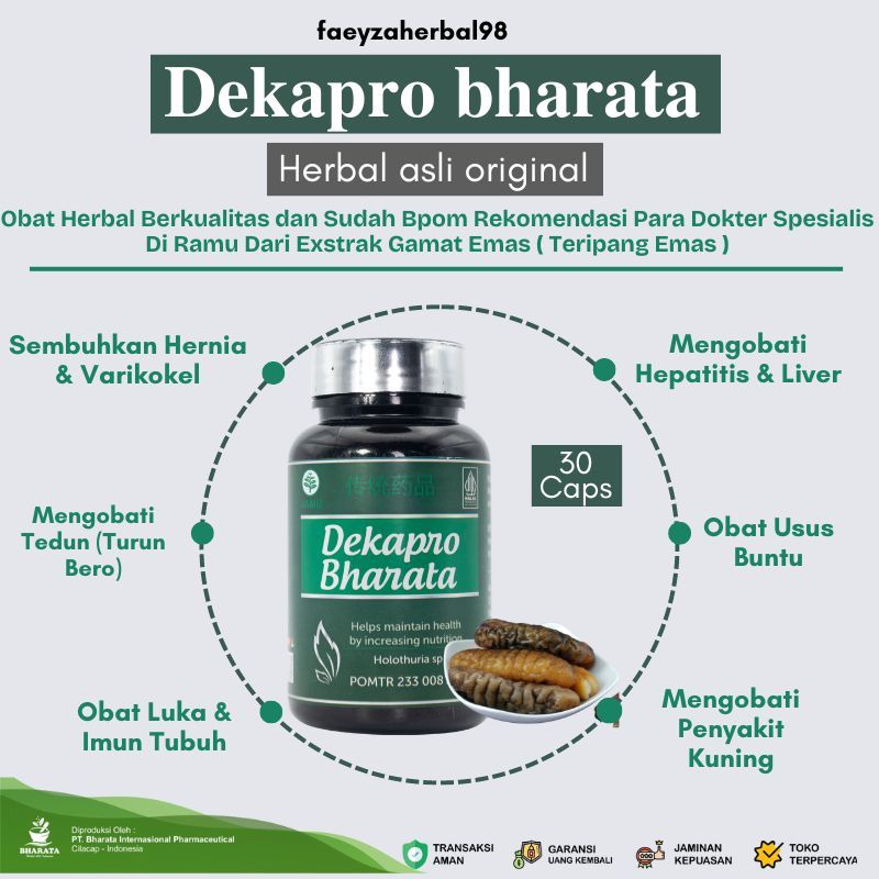 Jual DEKAPRO BHARATA | OBAT HERNIA | VARIKOKEL | MENGOBATI LIVER ...