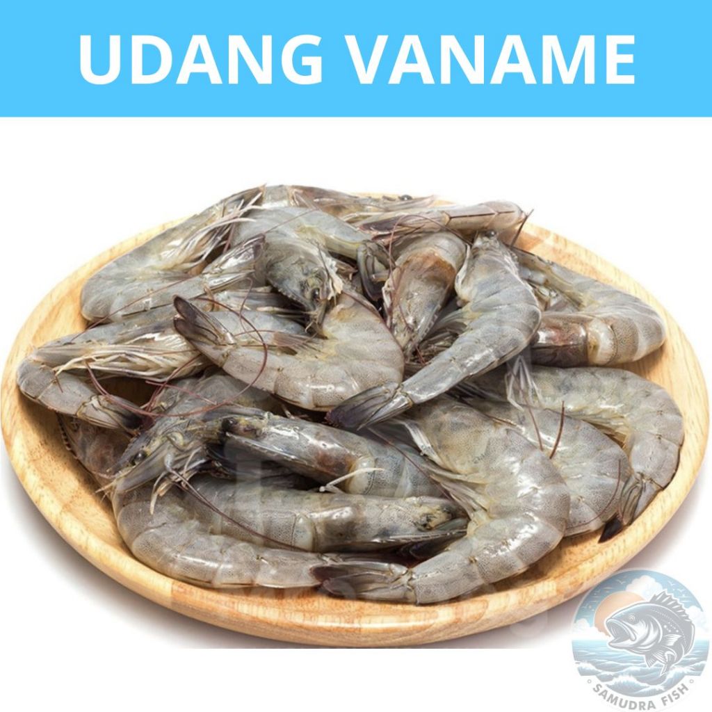 Jual Udang Vaname BESAR 500gr | Ikan Semarang | Udang Semarang | Ikan ...