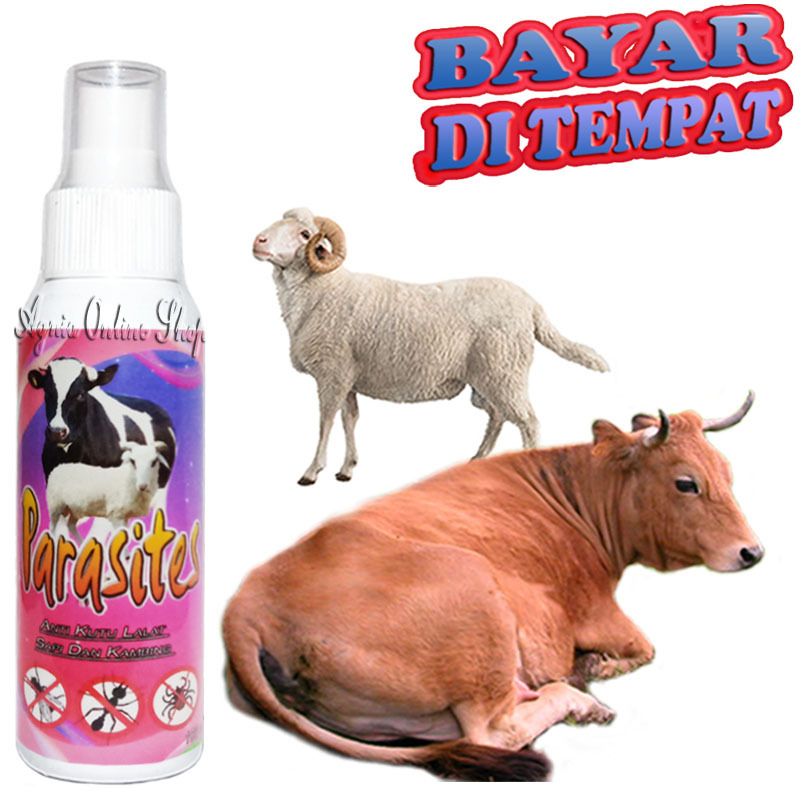 Jual Obat Kutu Sapi Kambing PARASITES Penghilang Serangga Caplax Tungau ...
