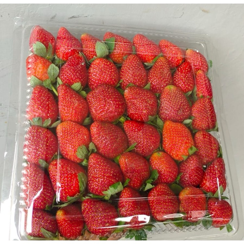 Jual STRAWBERRY FRESH ISI 1 kg | STRAWBERRY FRESH BESAR | STRAWBERRY ...