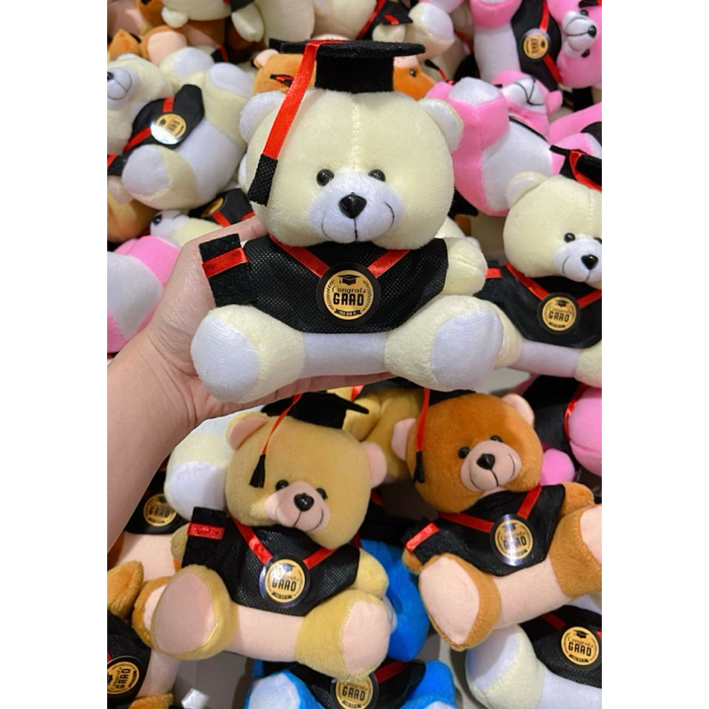 Jual BONEKA BEAR WISUDA 15-16cm / Boneka Wisuda / Boneka beruang Wisuda ...