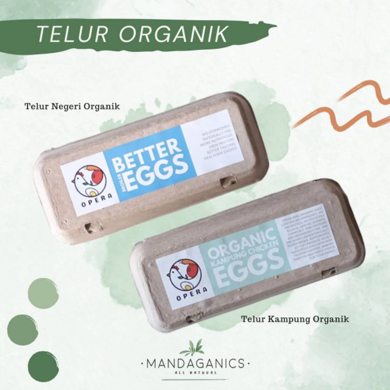 Jual TELUR AYAM KAMPUNG | TELUR AYAM NEGERI BROILER ORGANIK | ORGANIC ...