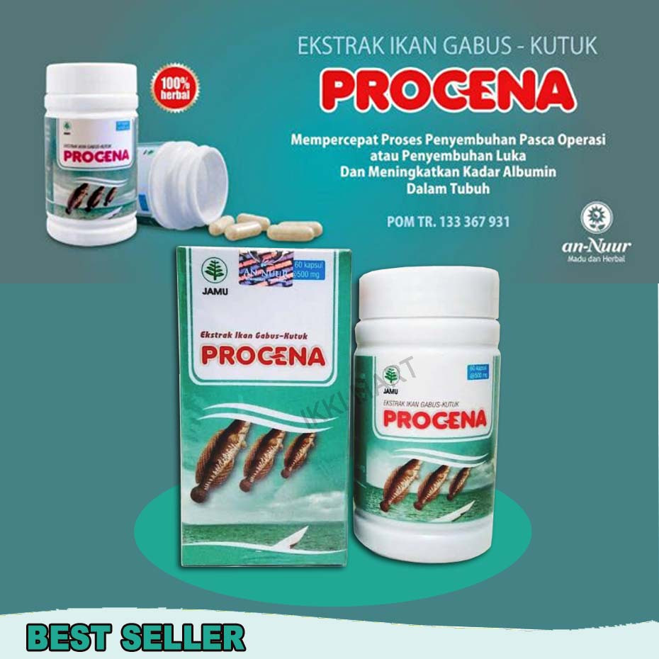 Jual Procena ekstrak ikan gabus kutuk isi 60 kapsul | Shopee Indonesia