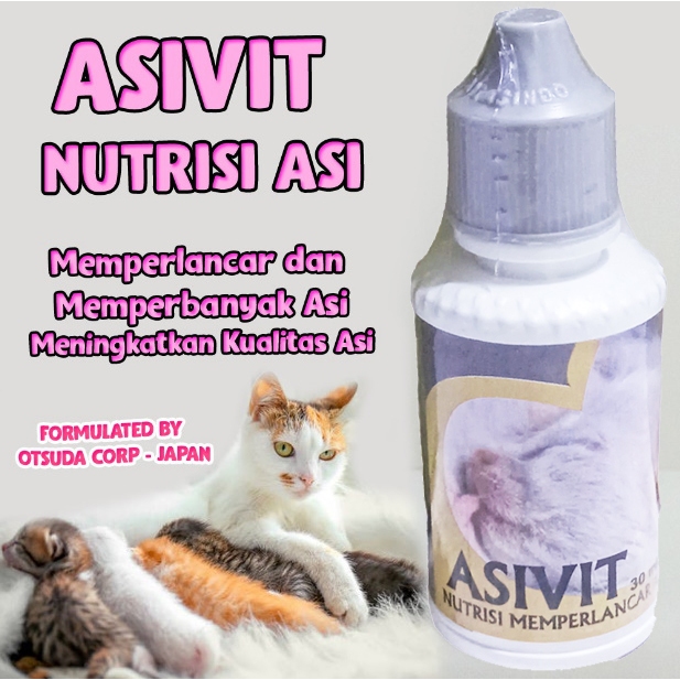 Jual Asivit Memperlancar ASI Kucing Vitamin Kucing Vitamin Kucing ...