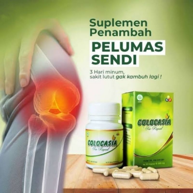 Jual Colocasia ORI! Obat nyeri sendi, asam urat, rematik | Shopee Indonesia