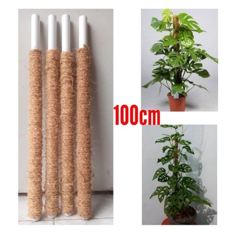 Jual Turus penyangga tanaman merambat 100cm/turus tanaman 1 meter/turus ...