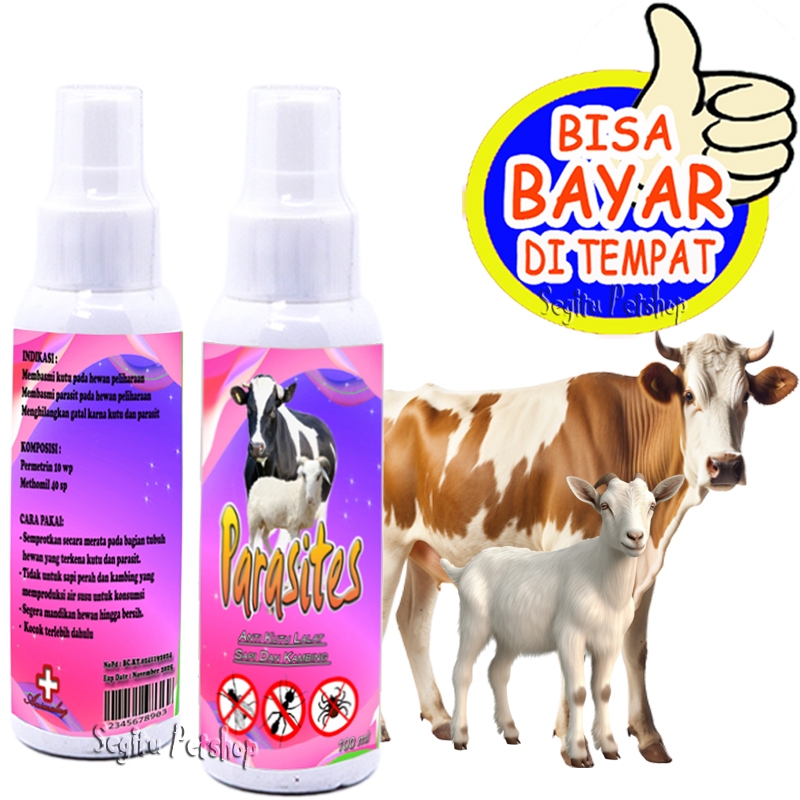 Jual Obat Kutu Sapi Kambing Basmi Gurem Pinjal Tumo Serangga Gurem ...