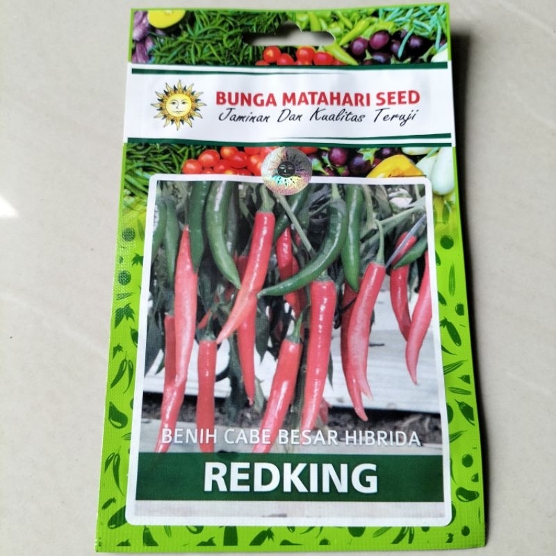 Jual BIBIT BENIH CABE BESAR HIBRIDA REDKING ISI 80 BUTIR CAP BUNGA ...