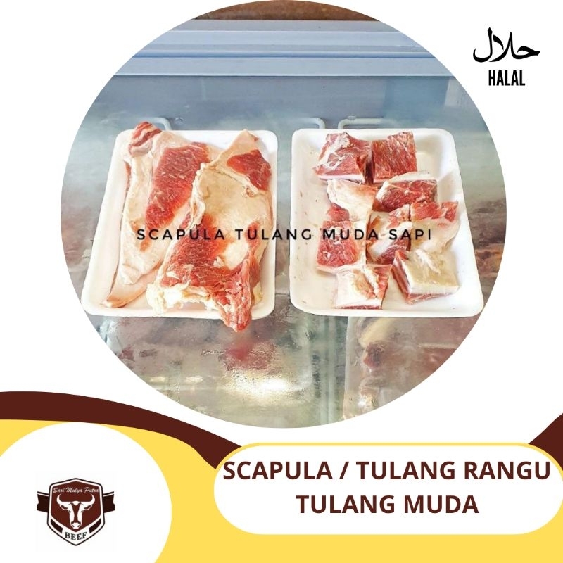 Jual TULANG MUDA SAPI / TANGKAR / SCAPULA 500GR | Shopee Indonesia