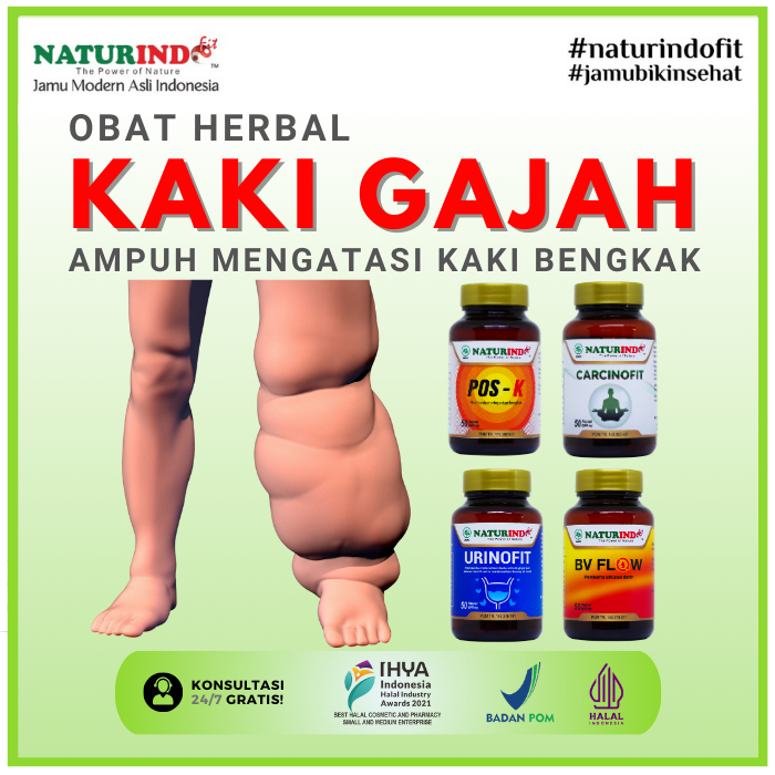 Jual Obat Herbal Kaki Gajah Filariasis Penyakit Infeksi Cacing Filaria ...