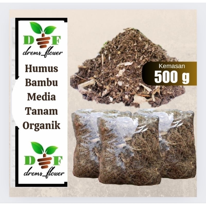 Jual humus bambu media tanam organik 500g | Shopee Indonesia